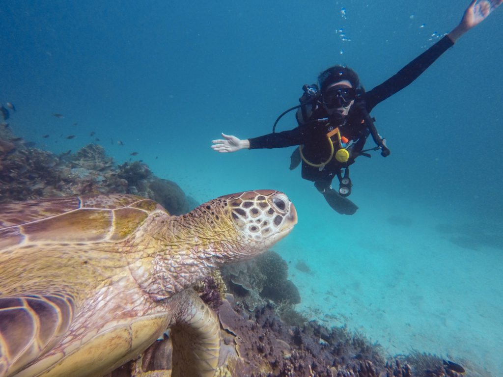 Diving in Komodo Safely: 5 Tips to Follow | iDIVE Komodo